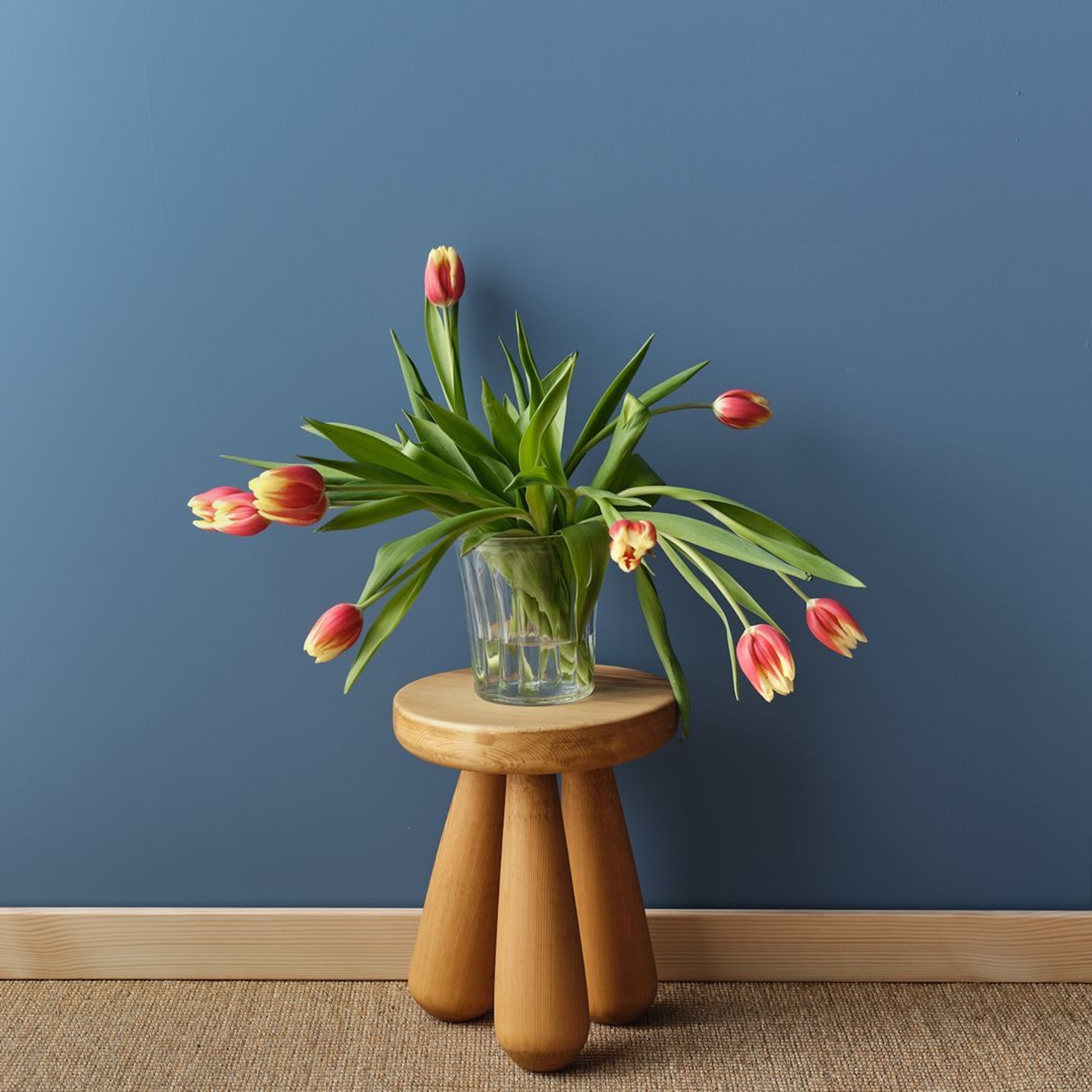 Klint — Albatross | Blue paint | Order swatches for 2