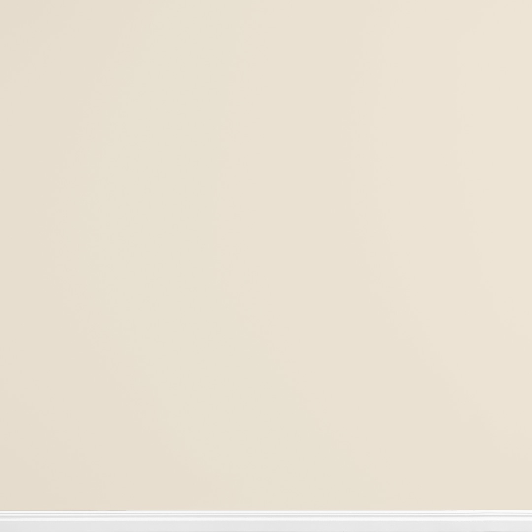 Klint — Biscotti | Beige Väggfärg | Målarfärg | Beställ provark för 20 kr